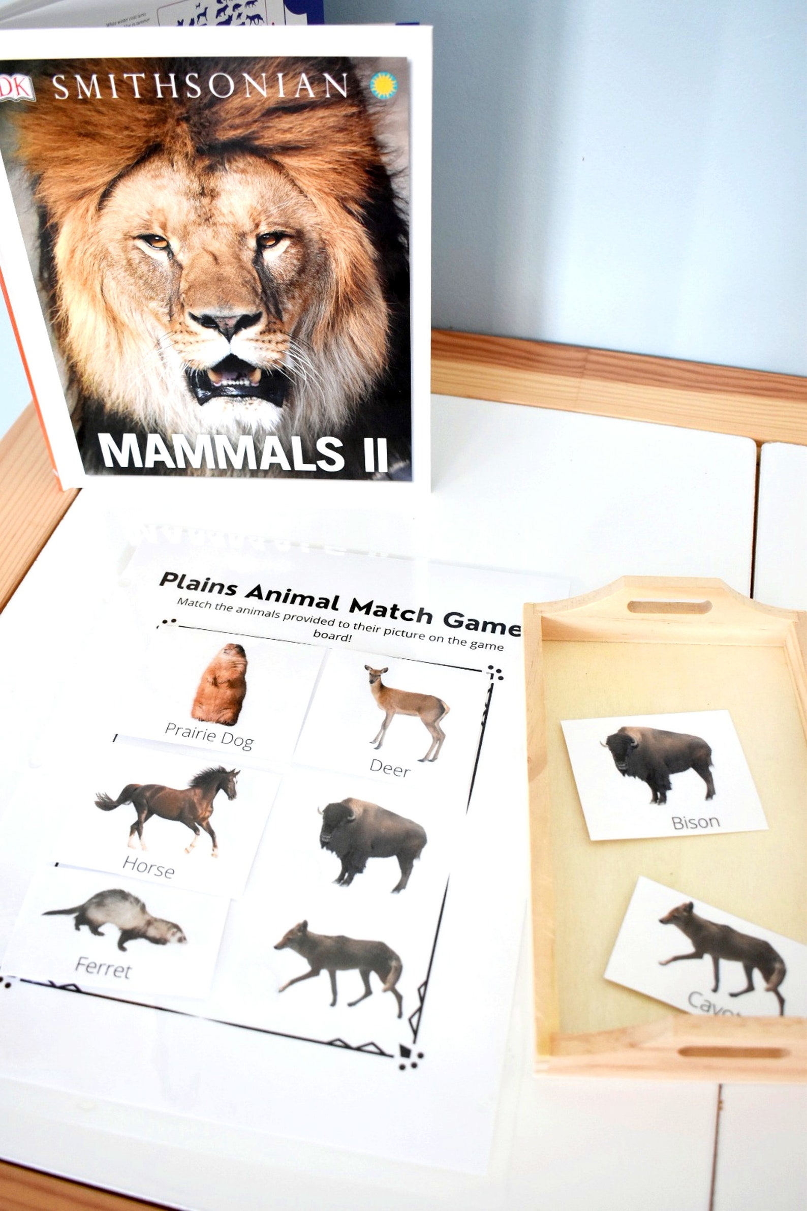 Plains Animal Matching Game, Activities for Preschoolers, Montessori ...