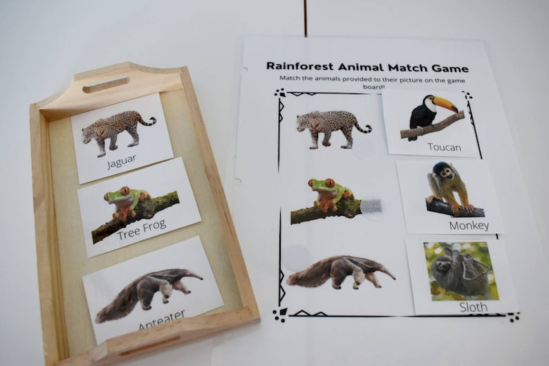 Rainforest Animal Matching Game, Preschool Printable Busy Book Page ...