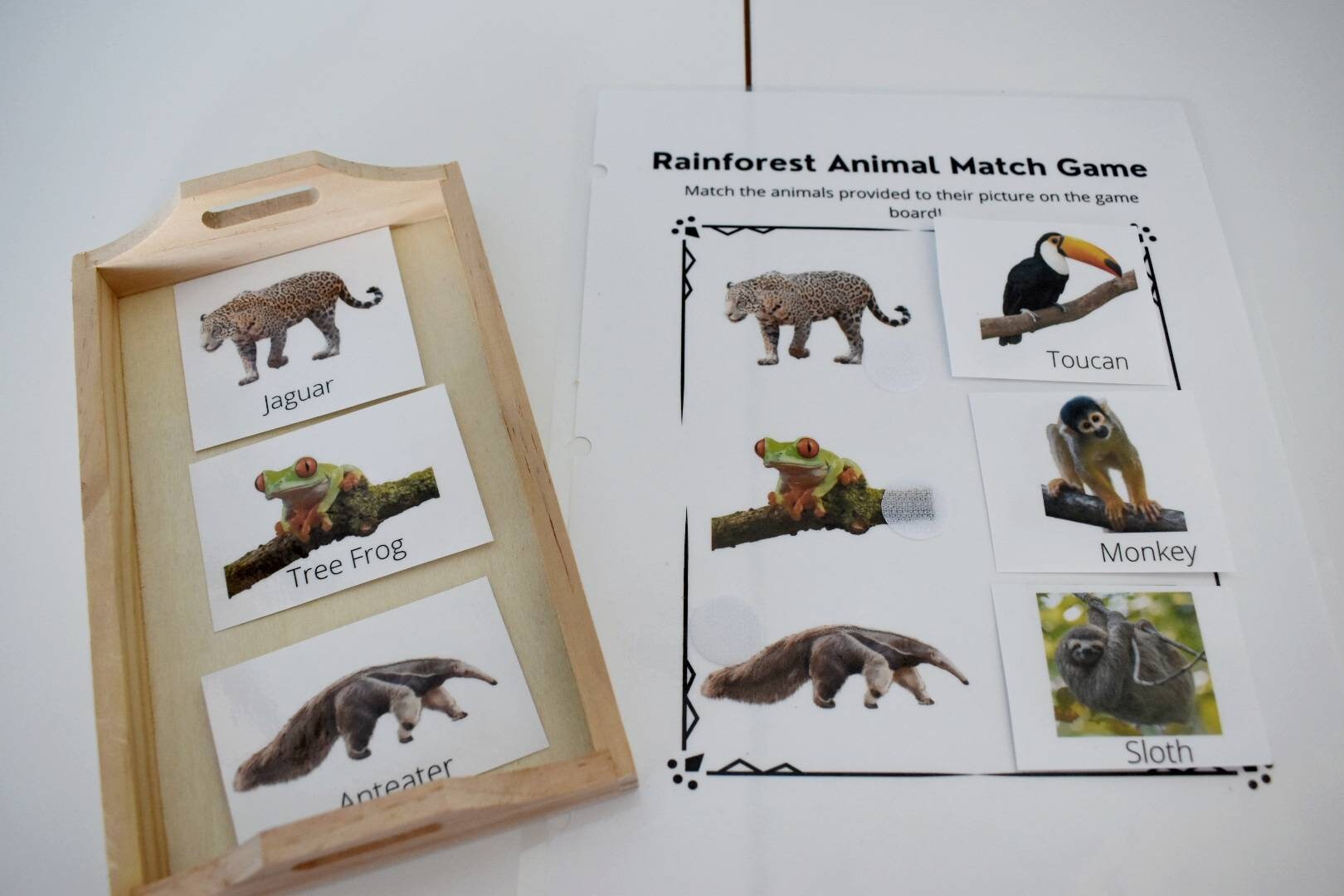 Rainforest Animal Matching Game, Preschool Printable Busy Book Page ...
