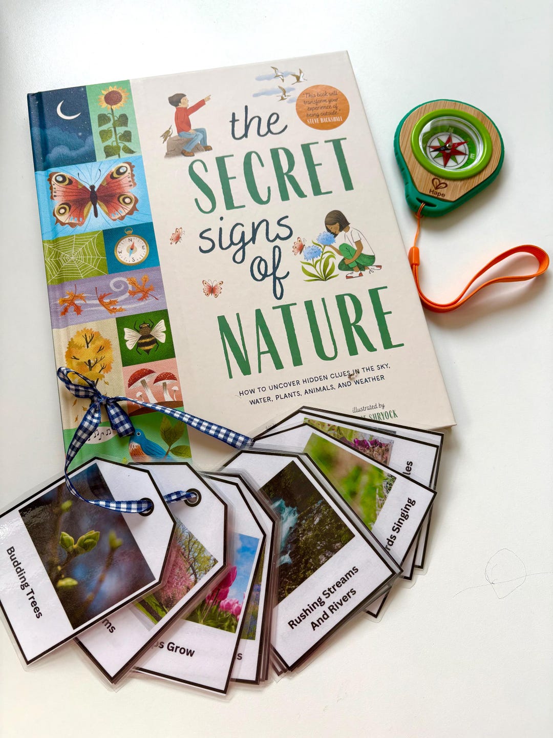 Signs of Spring Flashcards, Forest School, Homeschool Learning, Nature ...