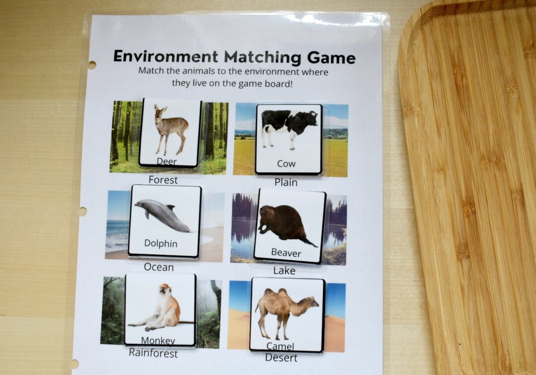 Preschool Animal Environment Matching Busy Book Page, Montessori ...
