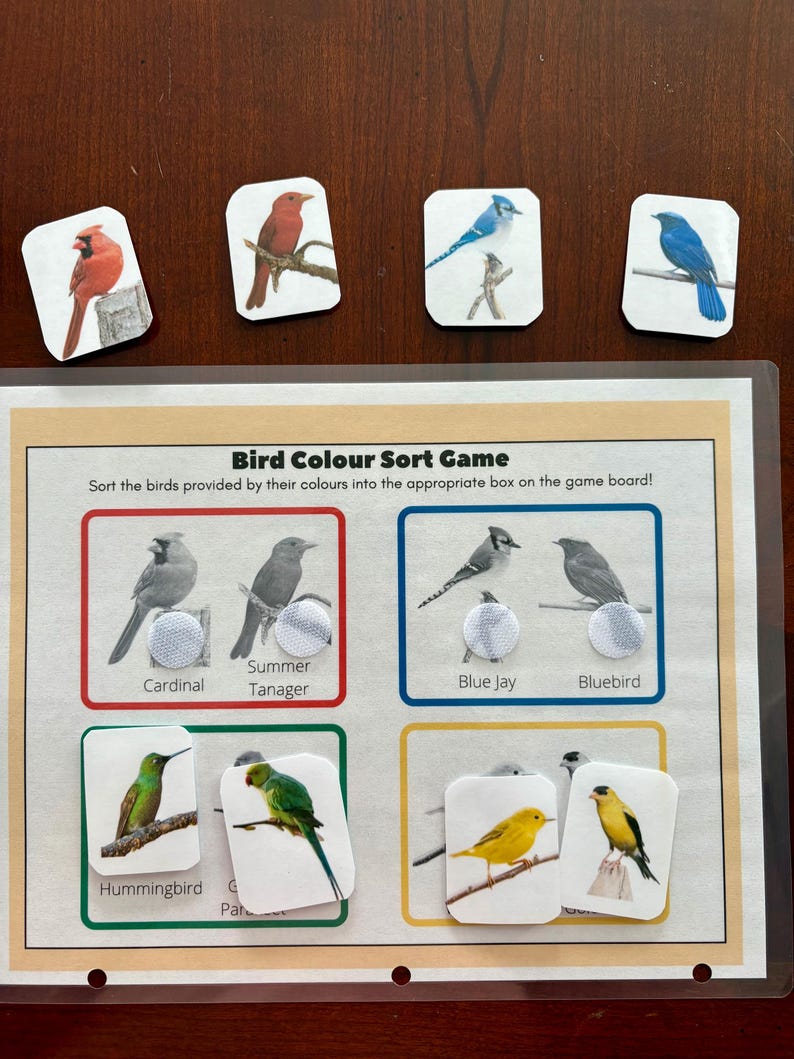 Printable Bird Color Sorting Game: Montessori Homeschool Activity (PDF ...