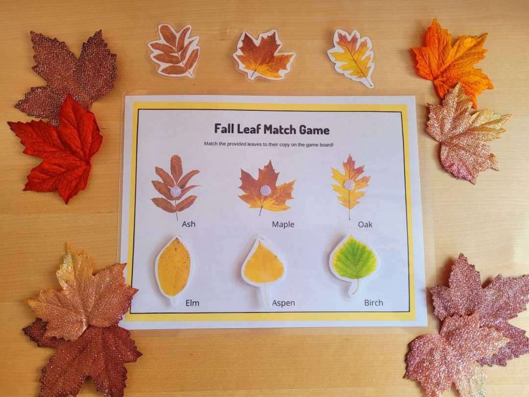 Fall Leaf Match Game, Montessori Inspired, Fall Toddler Activity ...