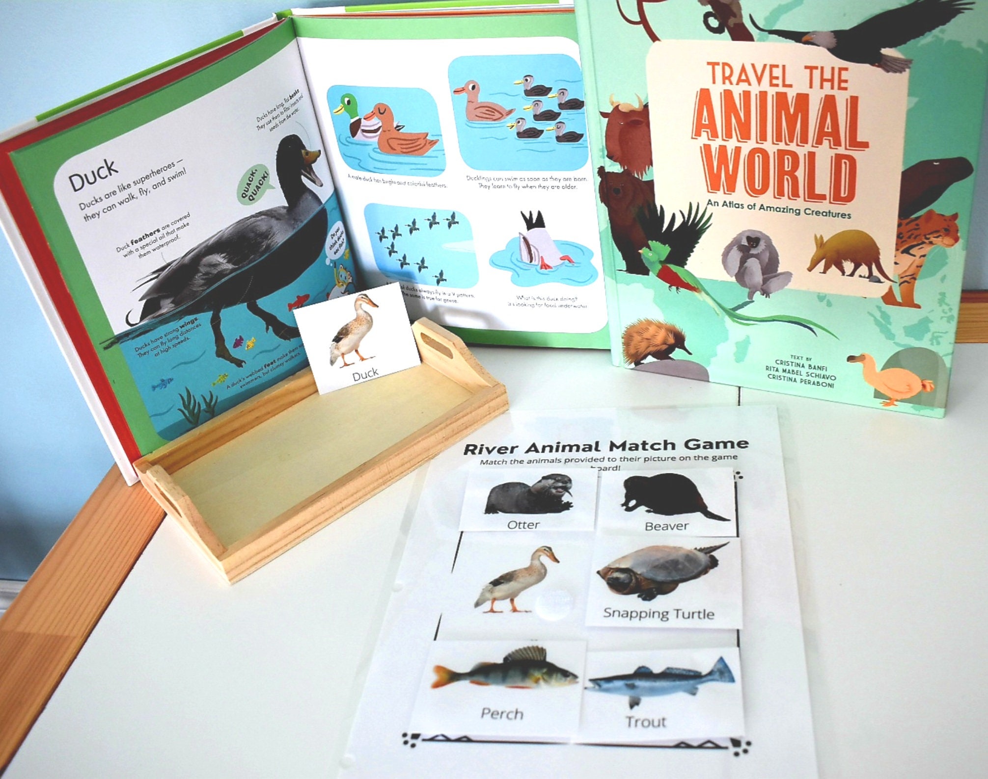Forest Animal Matching Worksheet, Activities for Preschoolers ...