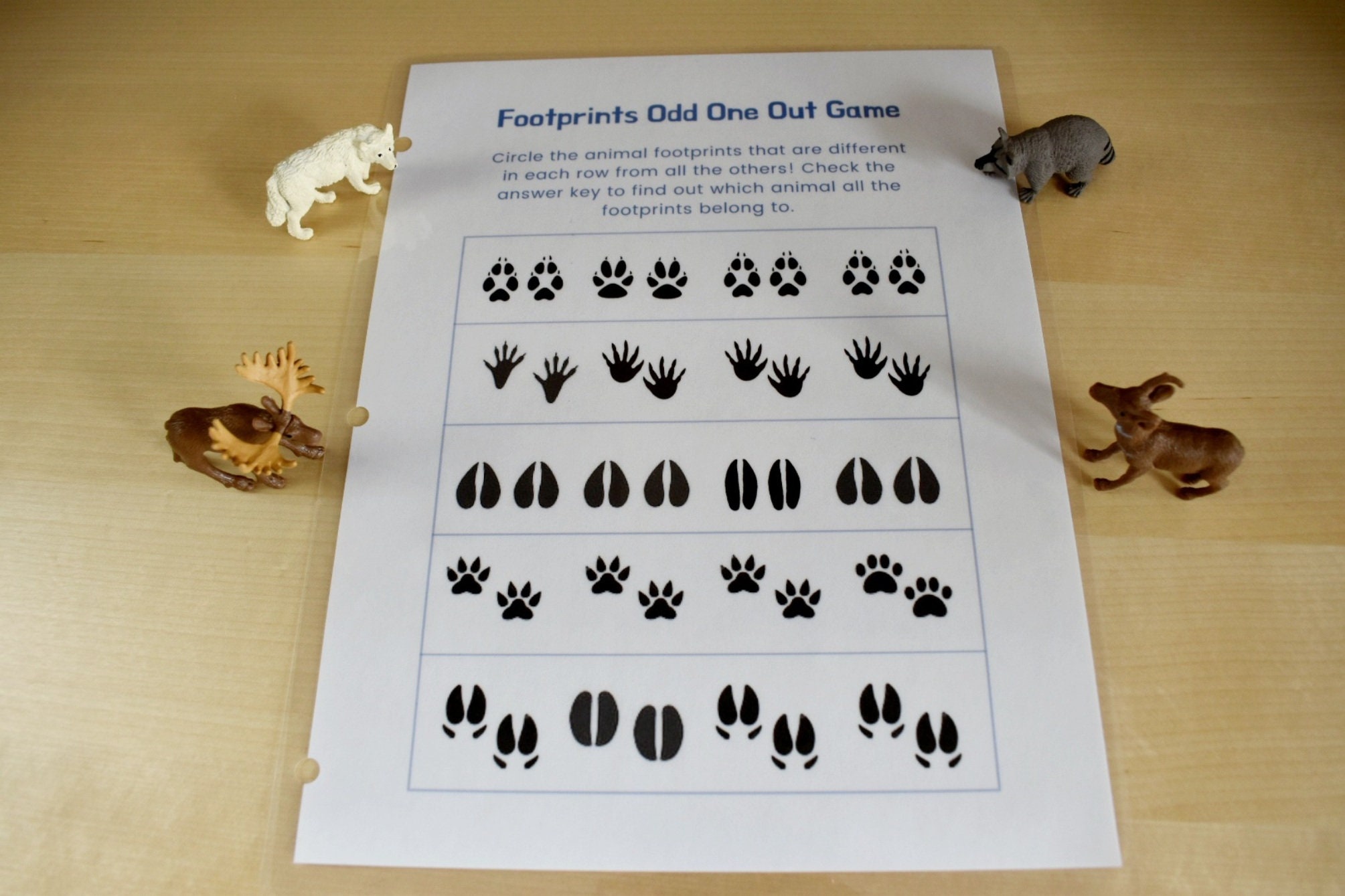 Preschool Printable Animal Footprints Game, Busy Book Page, Montessori ...