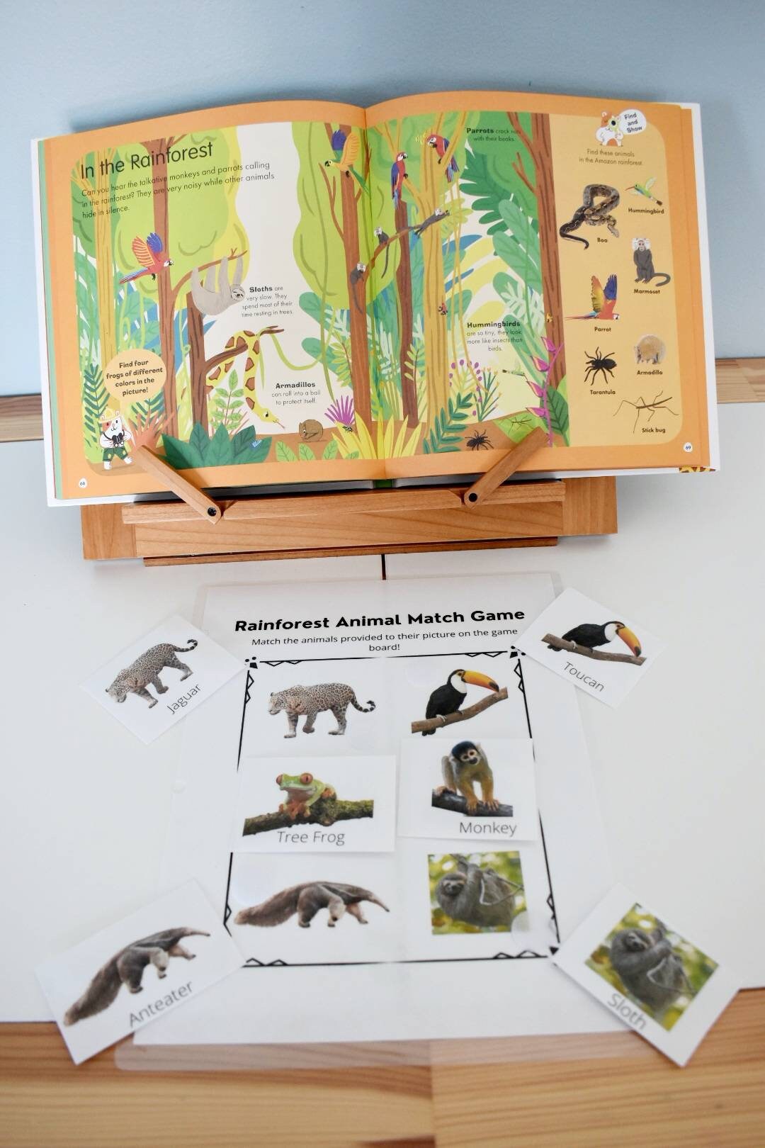 Rainforest Animal Matching Game, Preschool Printable Busy Book Page ...