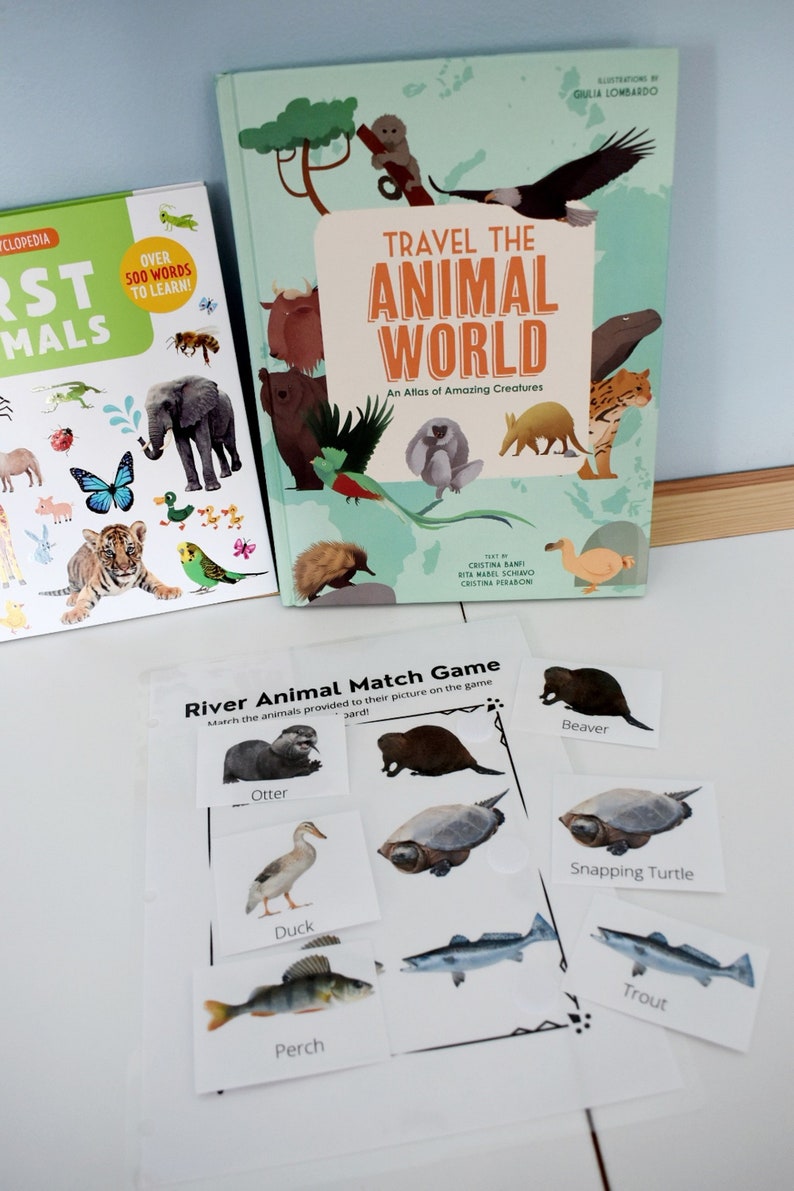 Forest Animal Matching Worksheet Activities for Preschoolers - Etsy