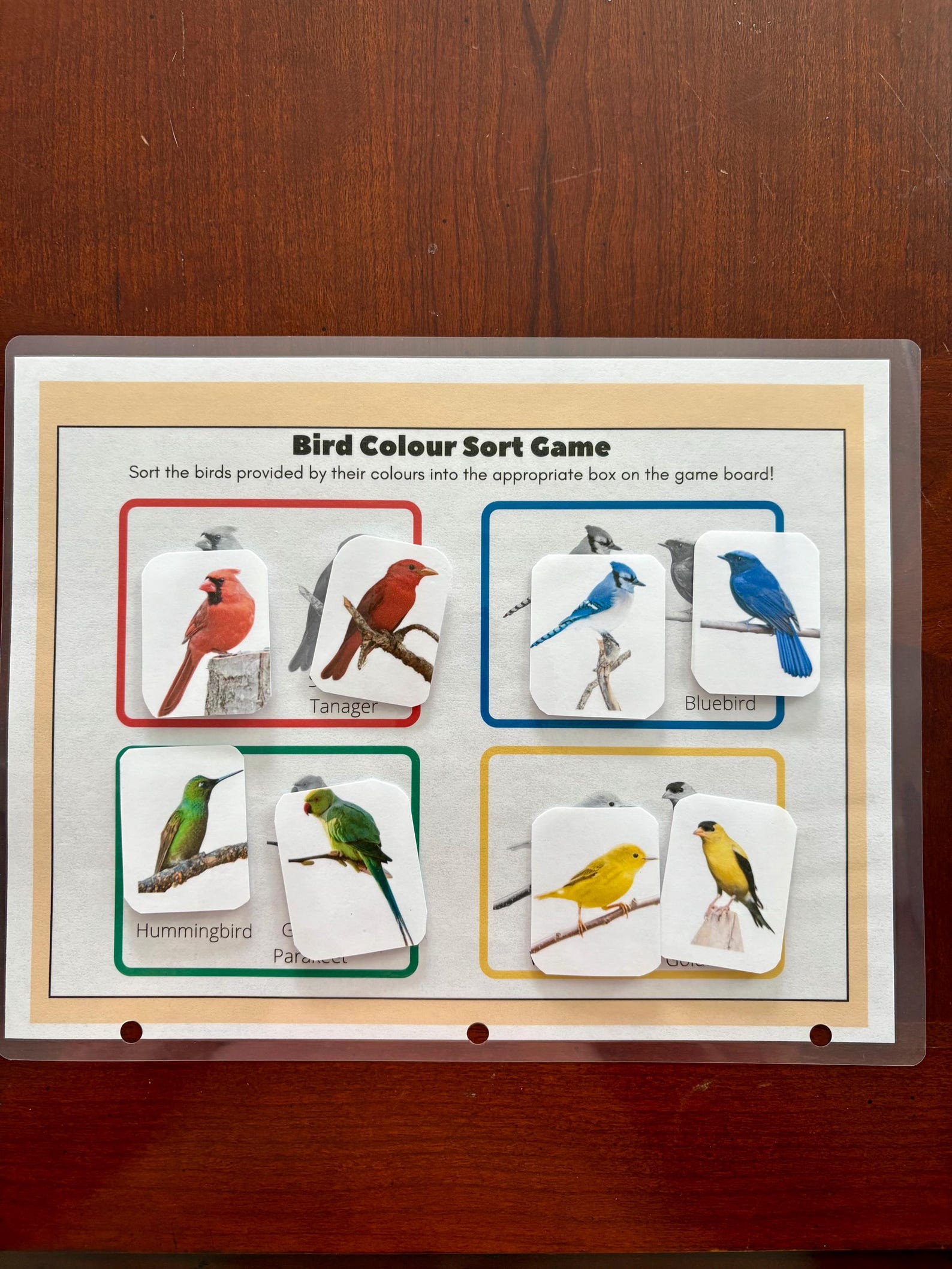 Printable Bird Color Sorting Game: Montessori Homeschool Activity (PDF ...