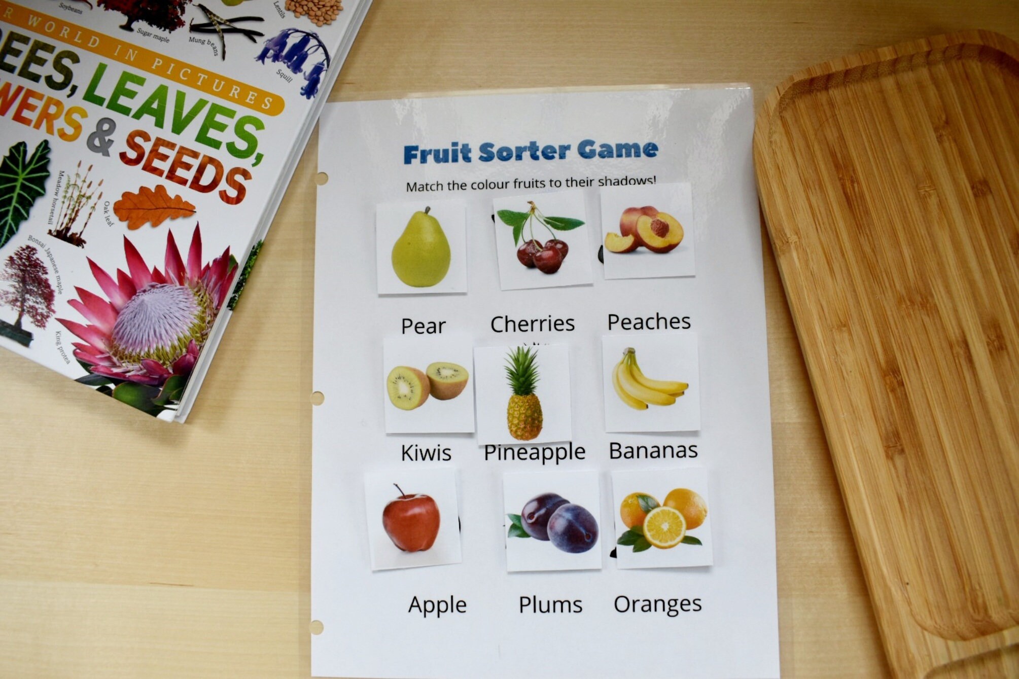 Preschool Printable Fruit Sorter Game, Busy Book Page, Activities for ...