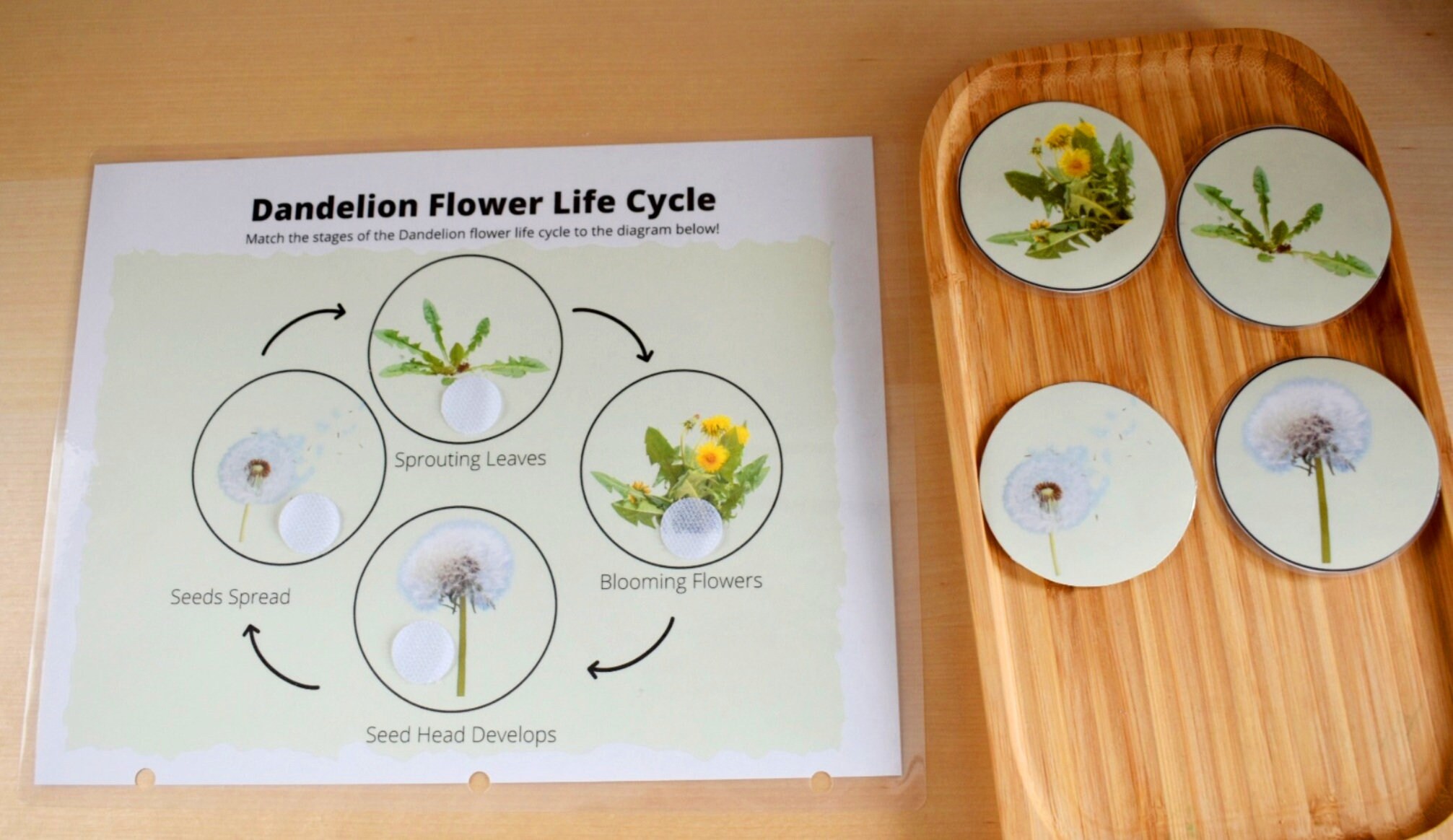 Printable Spring Preschool Busy Book Bundle, Montessori Inspired ...