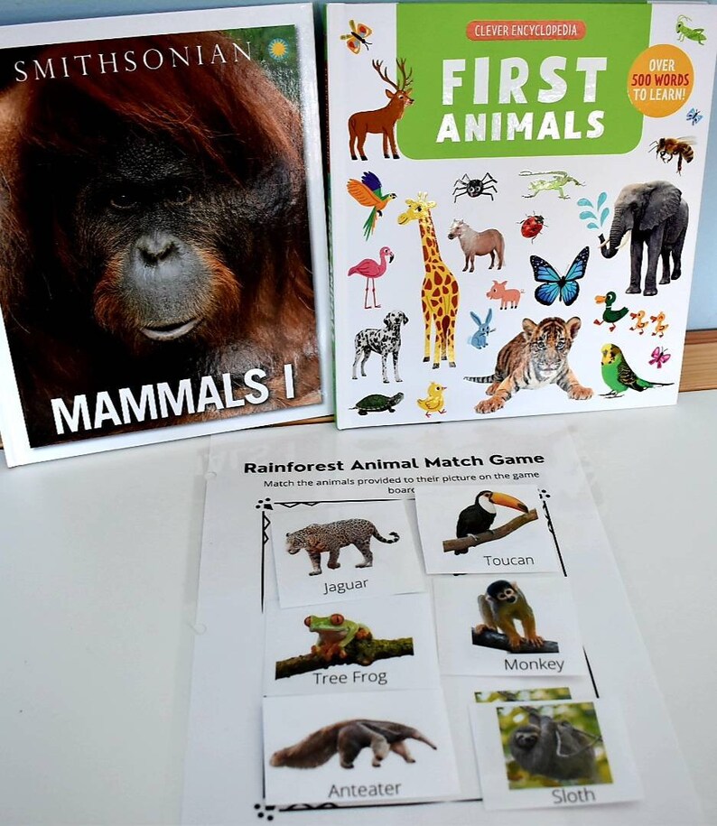 Rainforest Animal Matching Game, Preschool Printable Busy Book Page ...