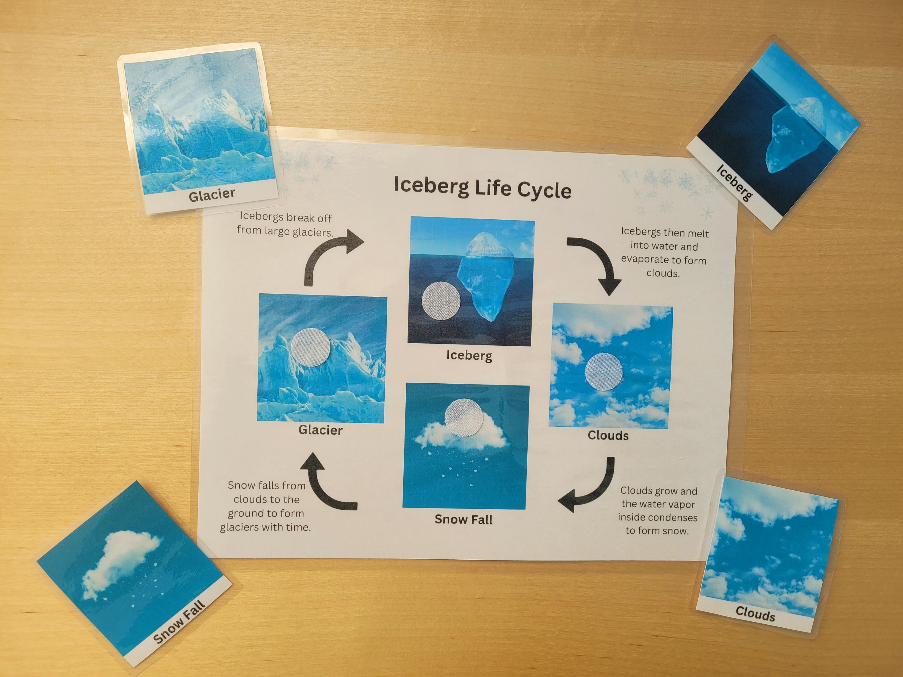 Iceberg Life Cycle Worksheet, Nature Study, Homeschool Resources, Busy ...
