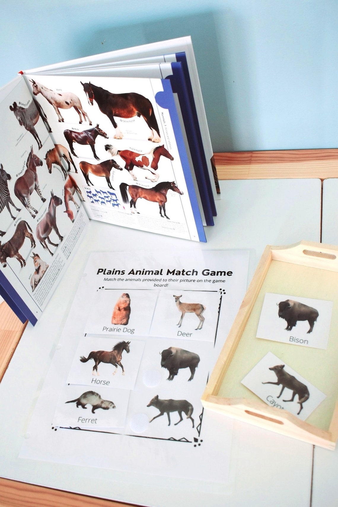 Plains Animal Matching Game, Activities for Preschoolers, Montessori ...