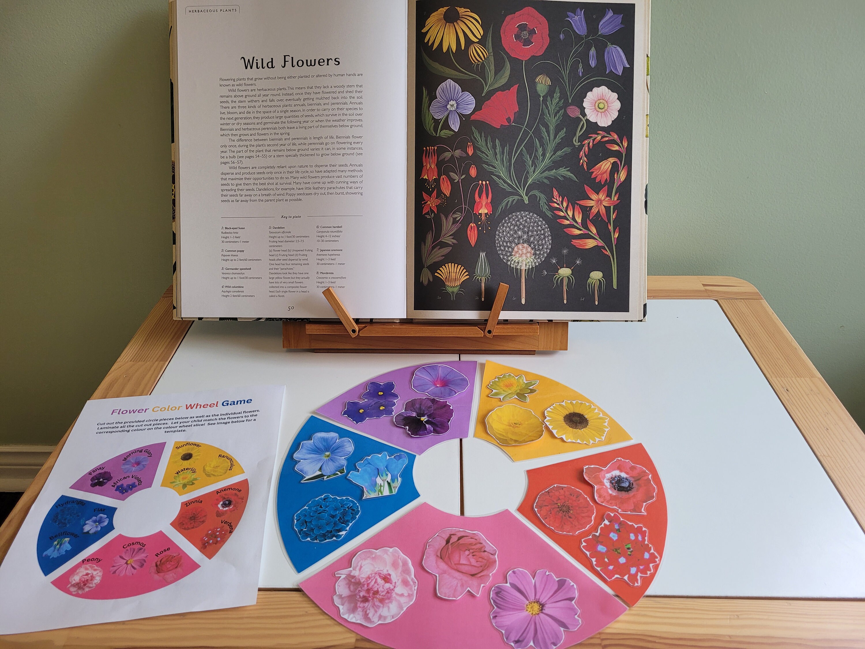 Printable Flower Color Wheel Matching Game, Floral Color Wheel ...