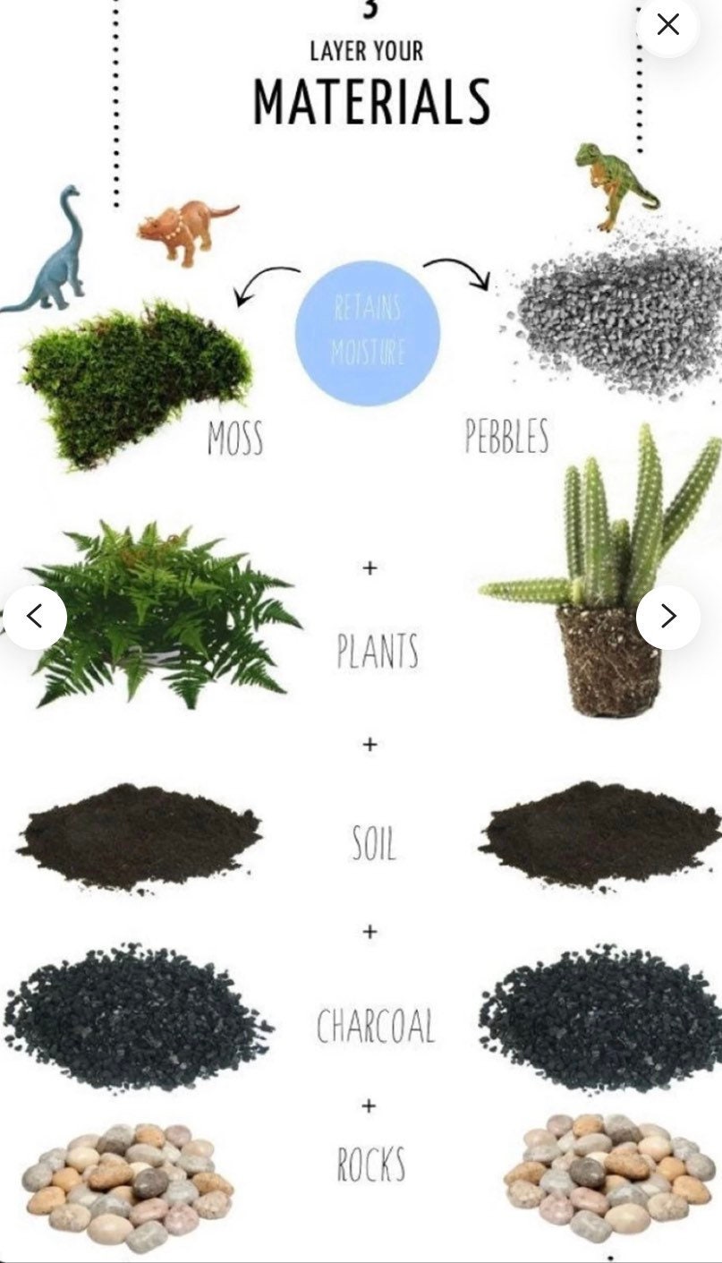 DIY Terrarium Kit: Group Activity, Team Building, Birthday Gift - Etsy