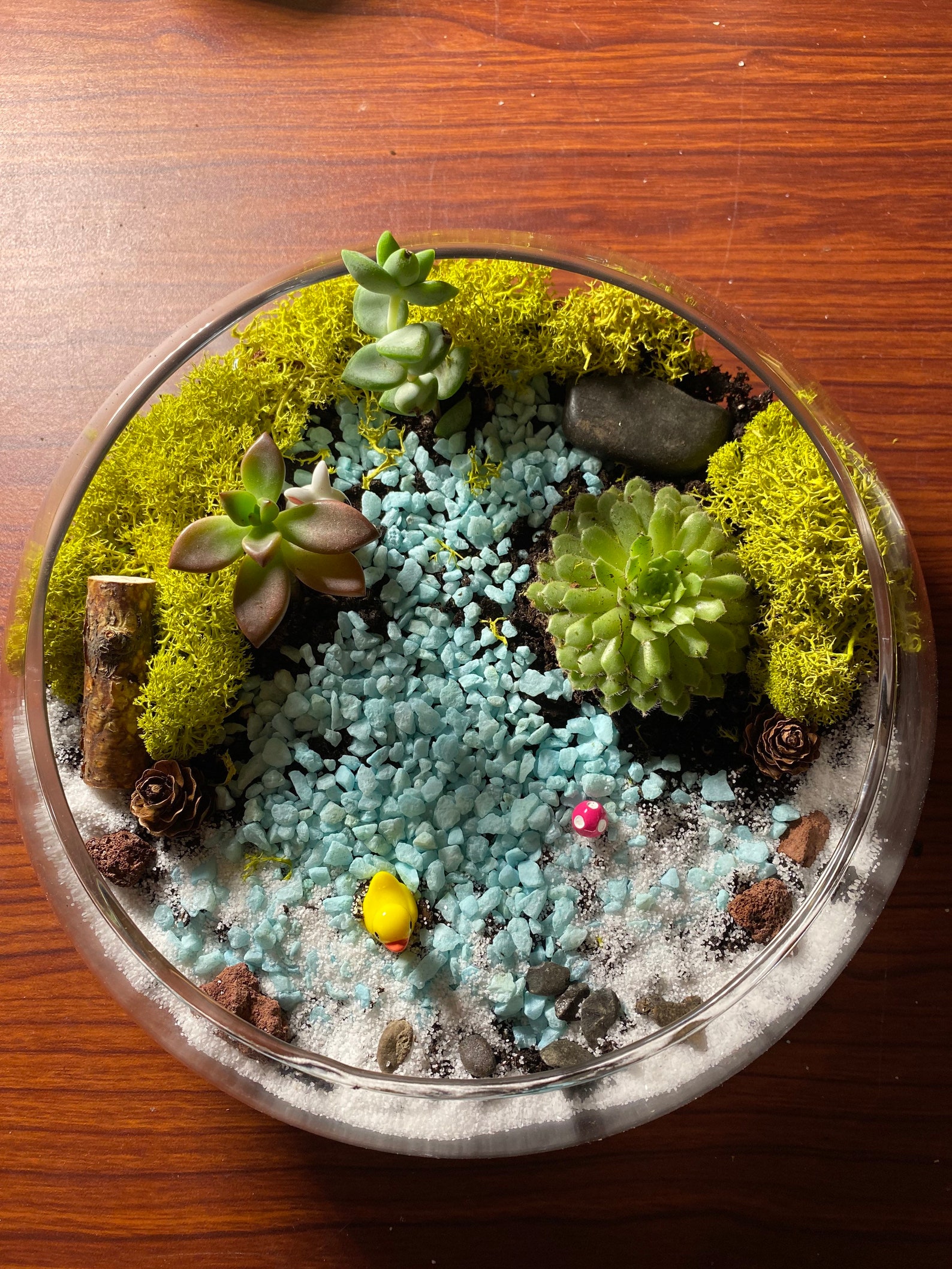 Group Complete Terrarium Kit Team Bonding Group Activity - Etsy