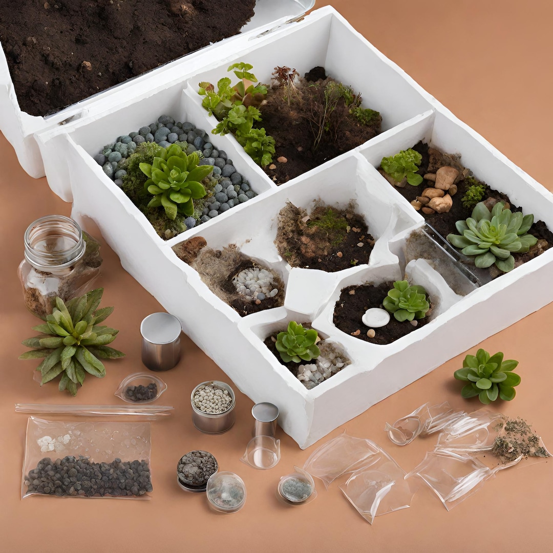 Terrarium Starter Kit - Etsy