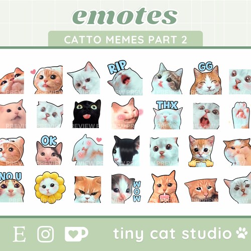 ANIMATED Cute Cat Emotes MEGA Bundle for Twitch and Discord - Etsy