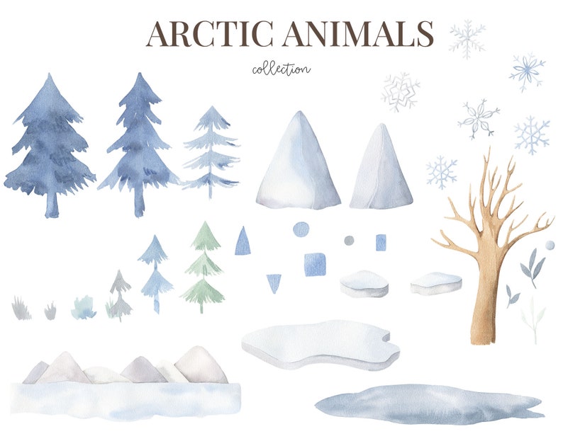 Watercolor Arctic Animals Woodland Nursery Clipart Woodland - Etsy