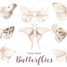Watercolor Butterfly Clipart-digital - Instant Download-delicate and ...