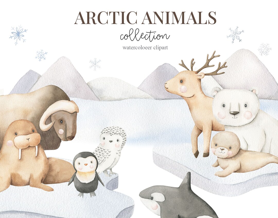 Watercolor Arctic Animals, Woodland Nursery Clipart, Woodland Animals ...