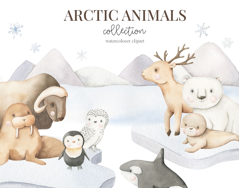 Watercolor Arctic Animals Woodland Nursery Clipart Woodland - Etsy