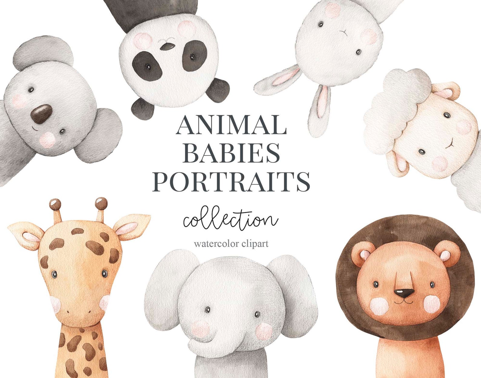 Watercolor Animals Babies Portraits Clipart. Woodland Safari | Etsy