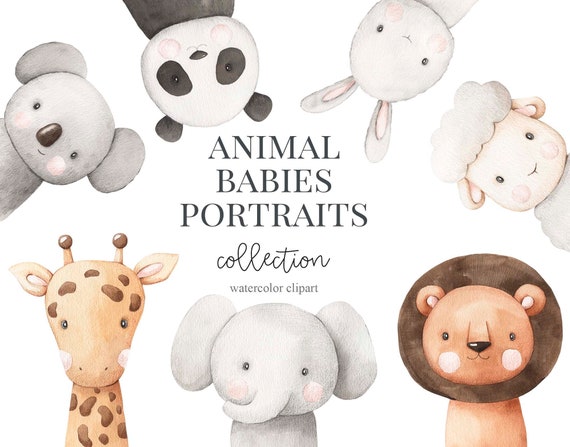 Watercolor Animals Babies Portraits Clipart. Woodland Safari | Etsy