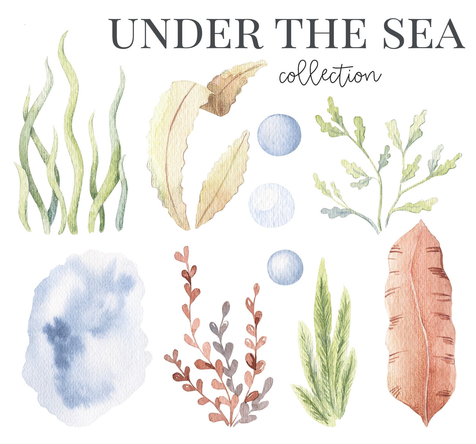 Watercolor Under the Sea Clipart. Baby Boy Nautical Clip Art Baby ...