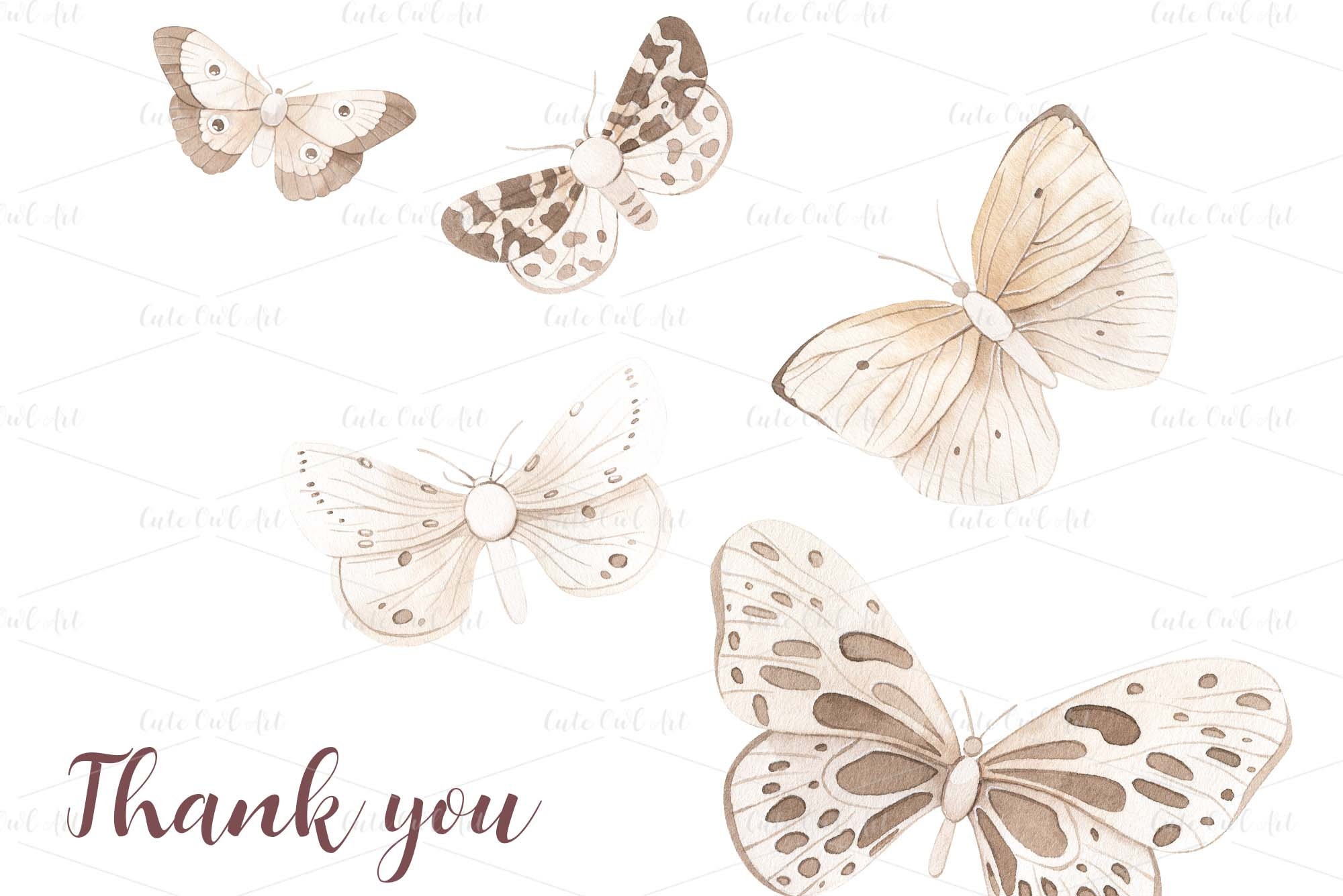 Watercolor Butterfly Clipart-digital - Instant Download-delicate and ...