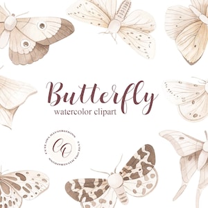 Watercolor Butterfly Clipart-digital - Instant Download-delicate and ...