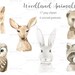 Woodland Animals Watercolor Clipart, Kids Clipart, Nursery Decor, Kids ...