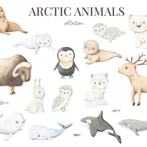 Watercolor Arctic Animals, Woodland Nursery Clipart, Woodland Animals ...