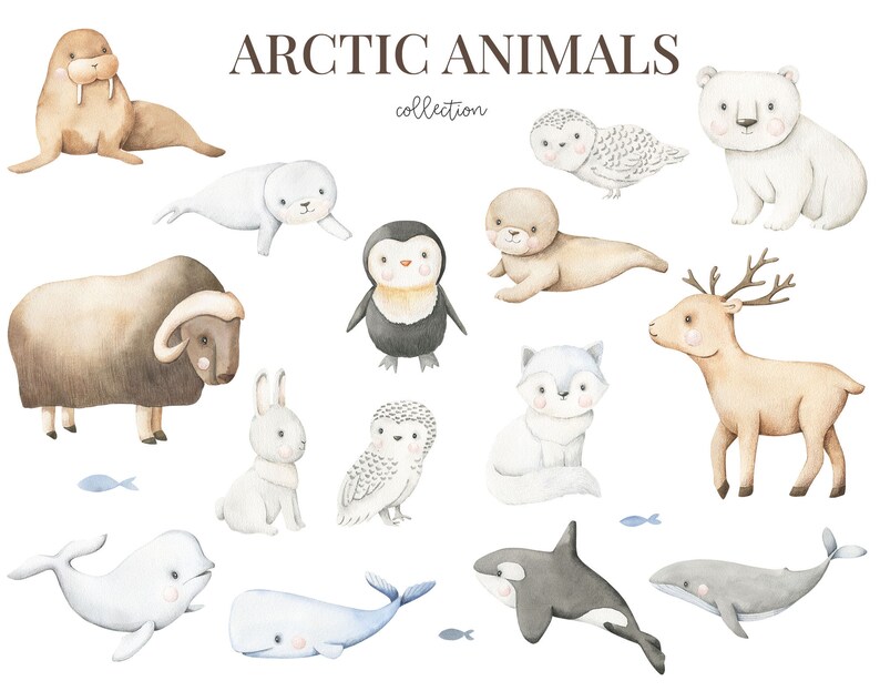 Watercolor Arctic Animals Woodland Nursery Clipart Woodland - Etsy