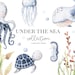 Watercolor Under the Sea Clipart. Baby Boy Nautical Clip Art Baby ...