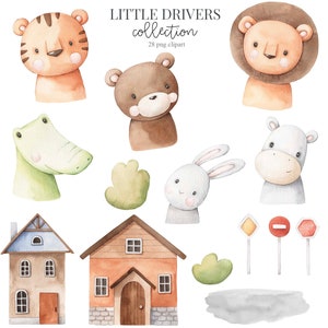 Watercolor Driver Animal Clipart. Cars. Watercolor Jungle Tiger, Lion ...