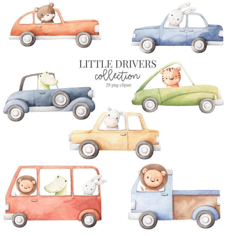 Watercolor Driver Animal Clipart. Cars. Watercolor Jungle Tiger, Lion ...