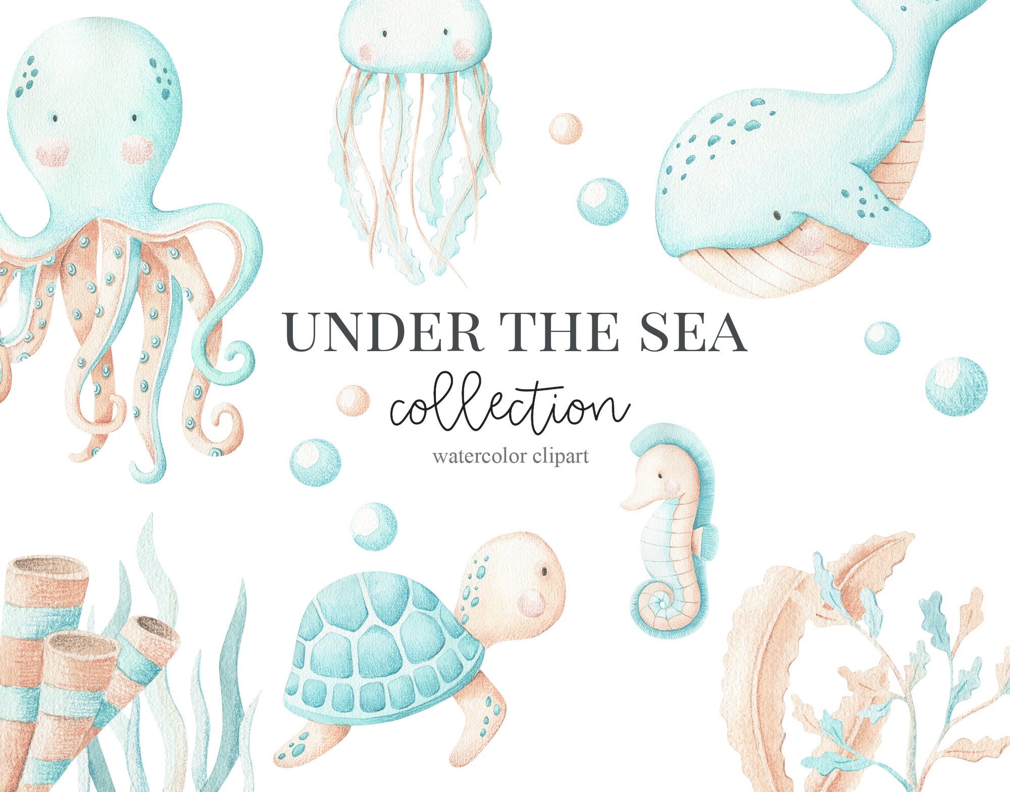 Watercolor Under the Sea Clipart. Baby Girl Mint Turquoise - Etsy