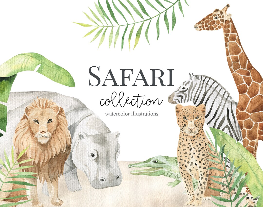 Safari Tropical Animal Clipart - Watercolor Jungle Elephant, Lion ...