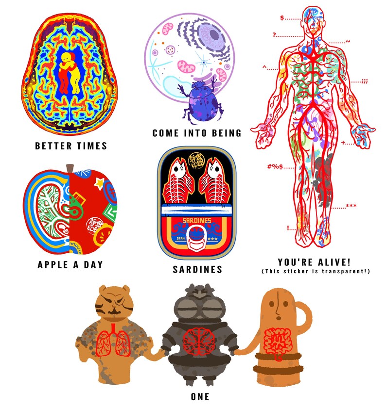 Anatomy Stickers - Etsy