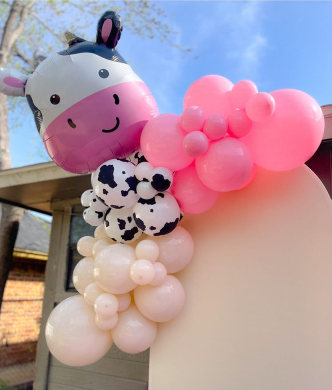 Cow Girl Balloon Garland Kit, Pink Farm Balloon Garland, DIY Farm Baby ...