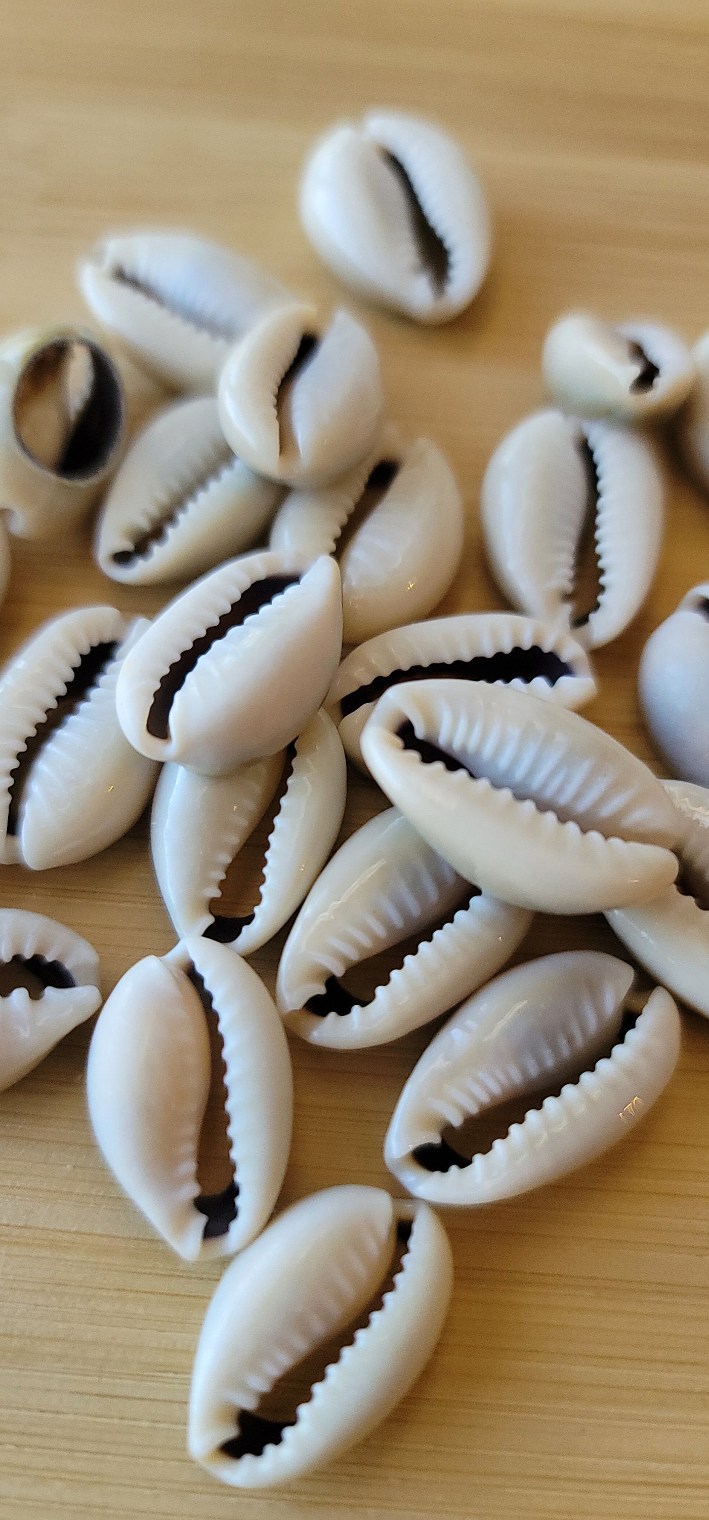 50pcs Cut Cowrie Shell Hair Beads, Loc Jewelry, Dreadlock Braids Hair ...