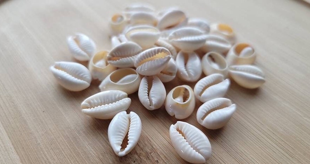 50pcs Cut Cowrie Shell Hair Beads, Loc Jewelry, Dreadlock Braids Hair ...