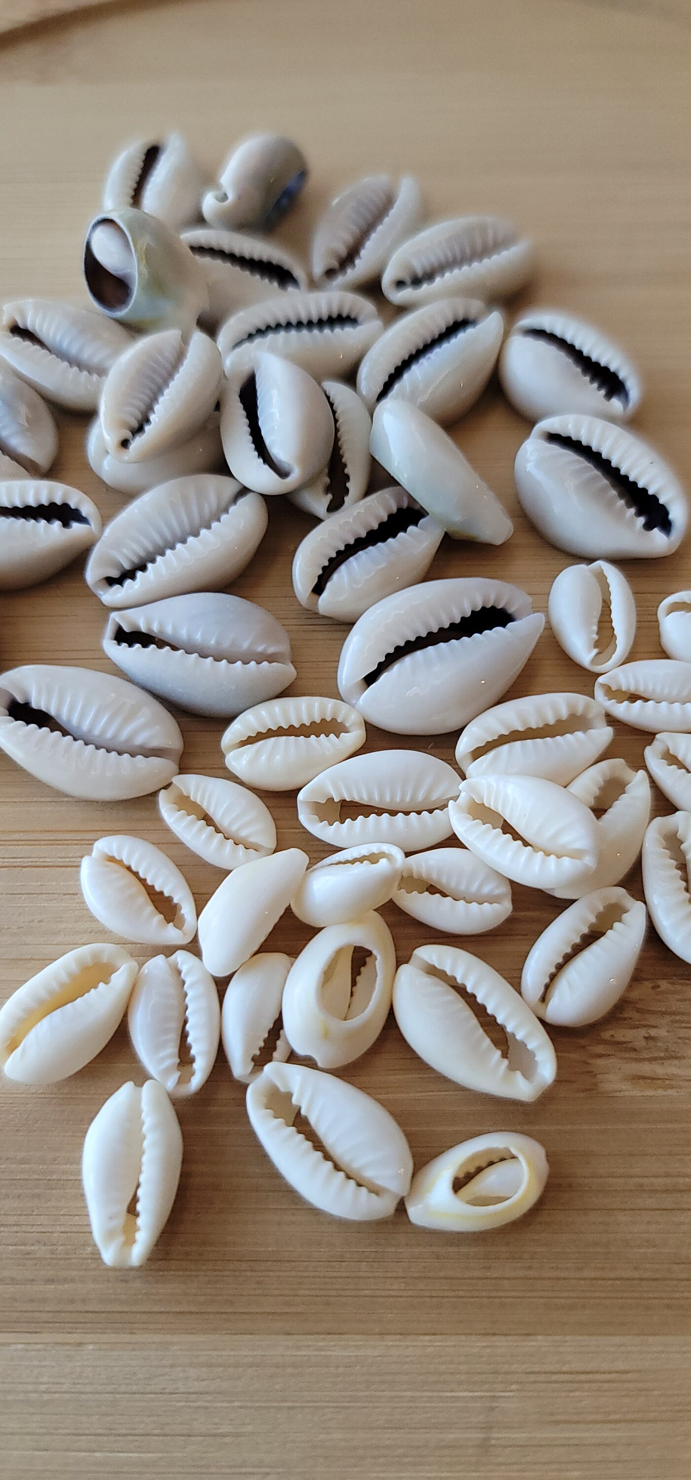 50pcs Cut Cowrie Shell Hair Beads, Loc Jewelry, Dreadlock Braids Hair ...