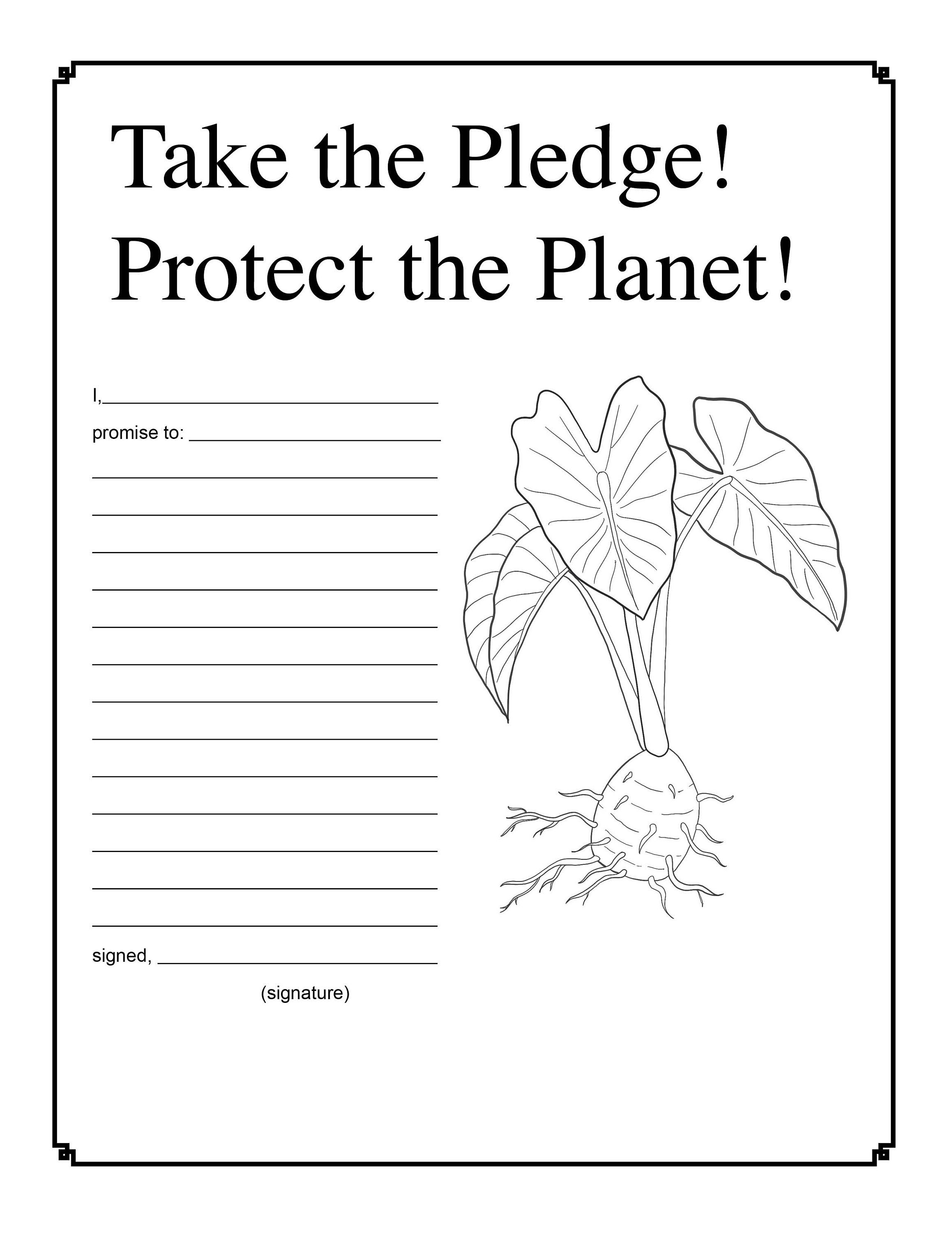 Earth Day Tree Mural / Mosaic Project Plans - Etsy