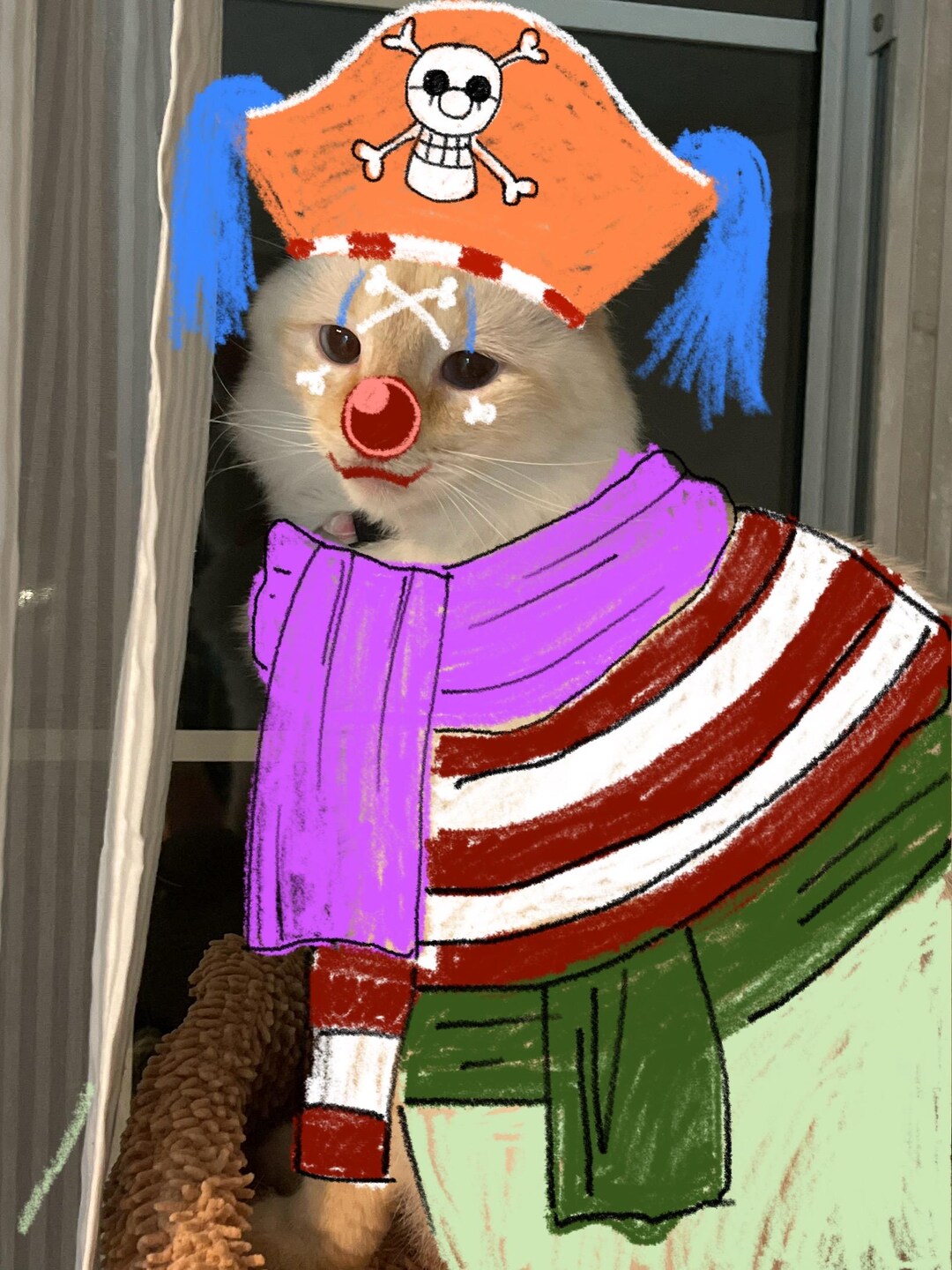 Custom Anime Cat Art, One Piece Style, Funny Gift - Etsy