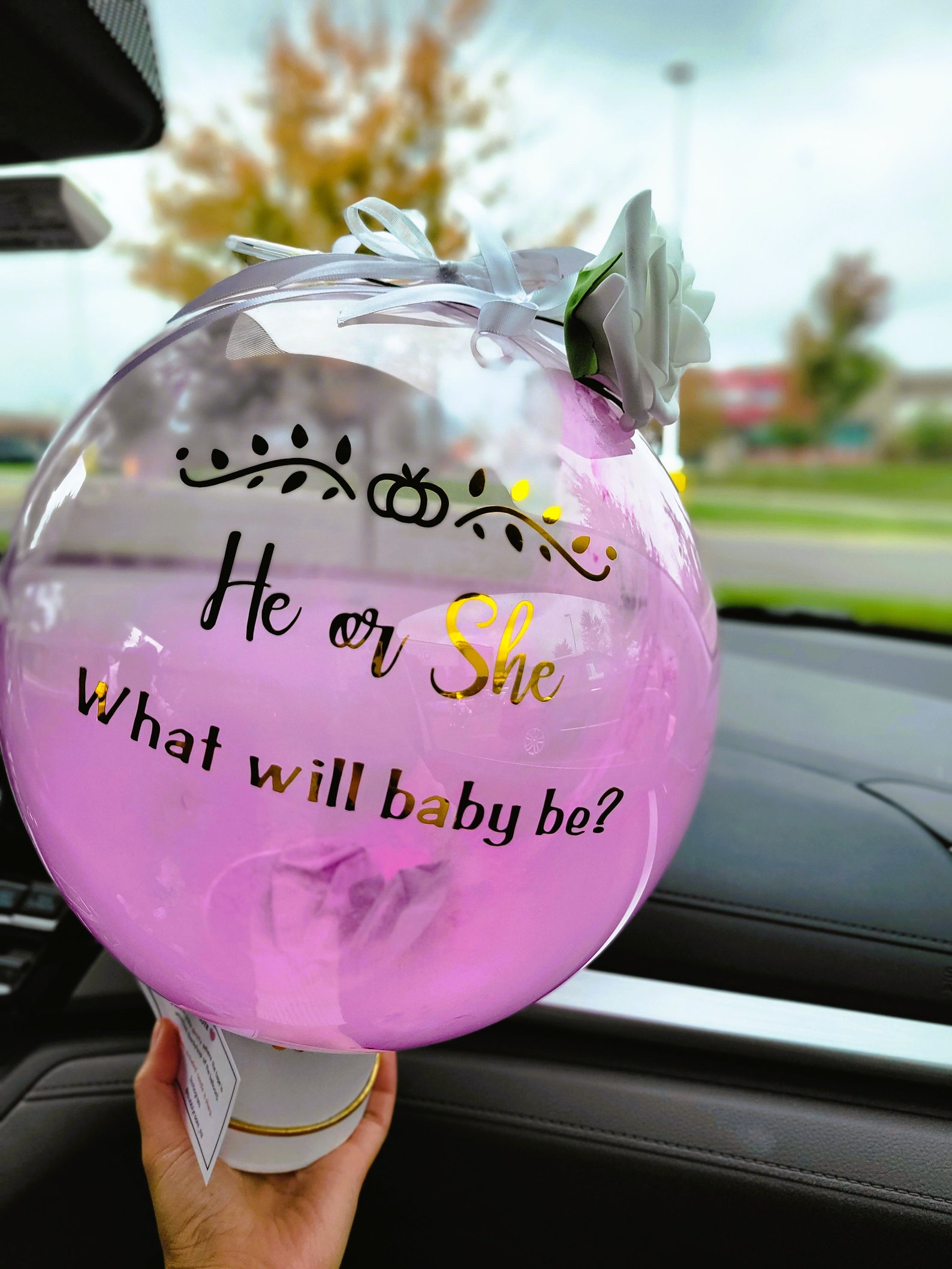 He or She Fall Theme What Will It Be Pop to See he or - Etsy