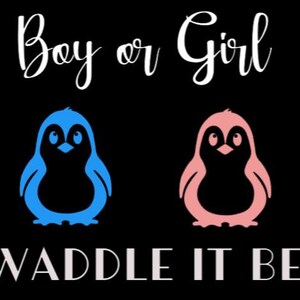 Penguin Waddle It Be? | Penguin Waddle Theme Indoor No Mess Gender ...