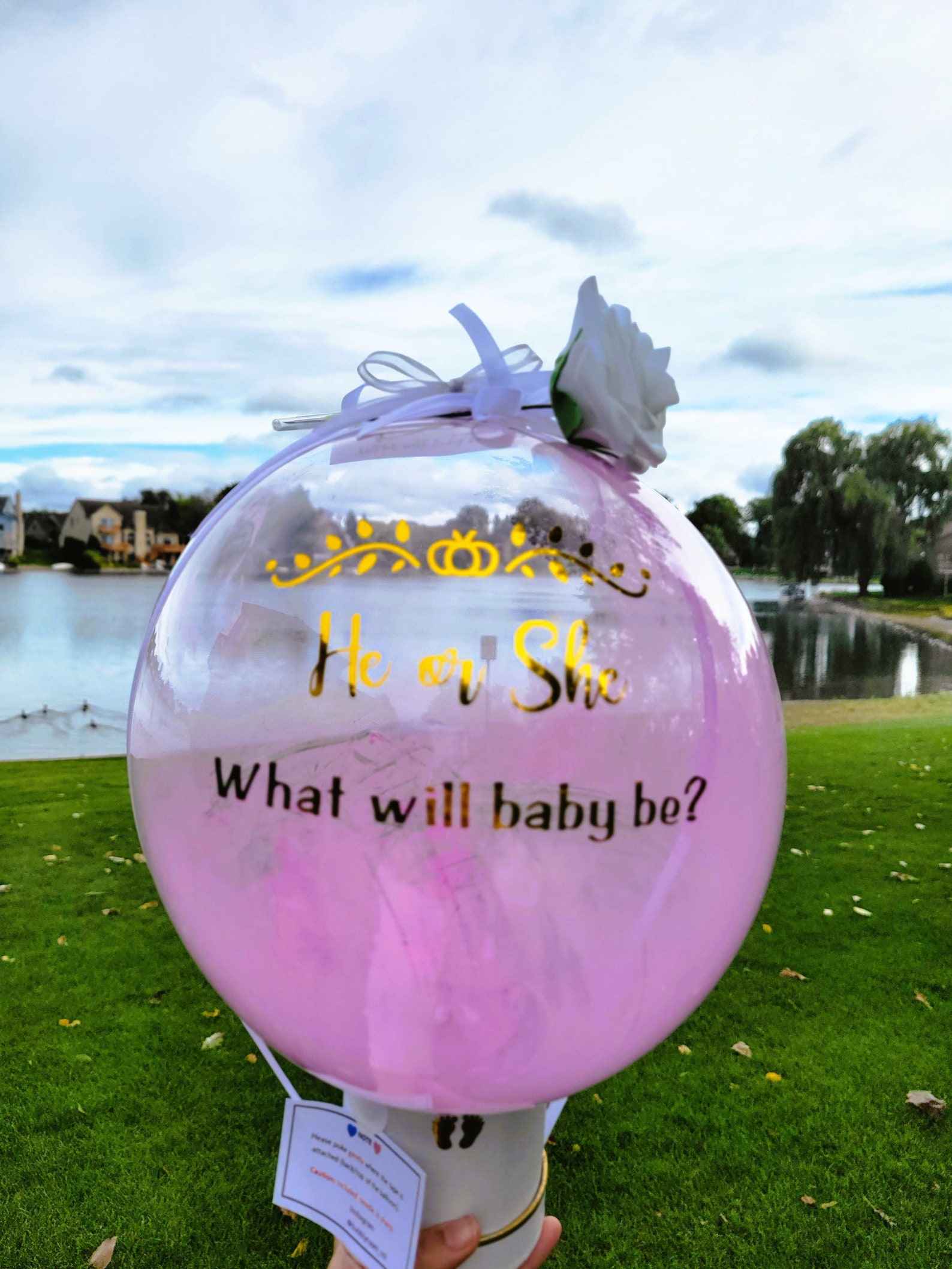 He or She? Fall Theme What Will It Be? Pop to See "he or She What Will ...