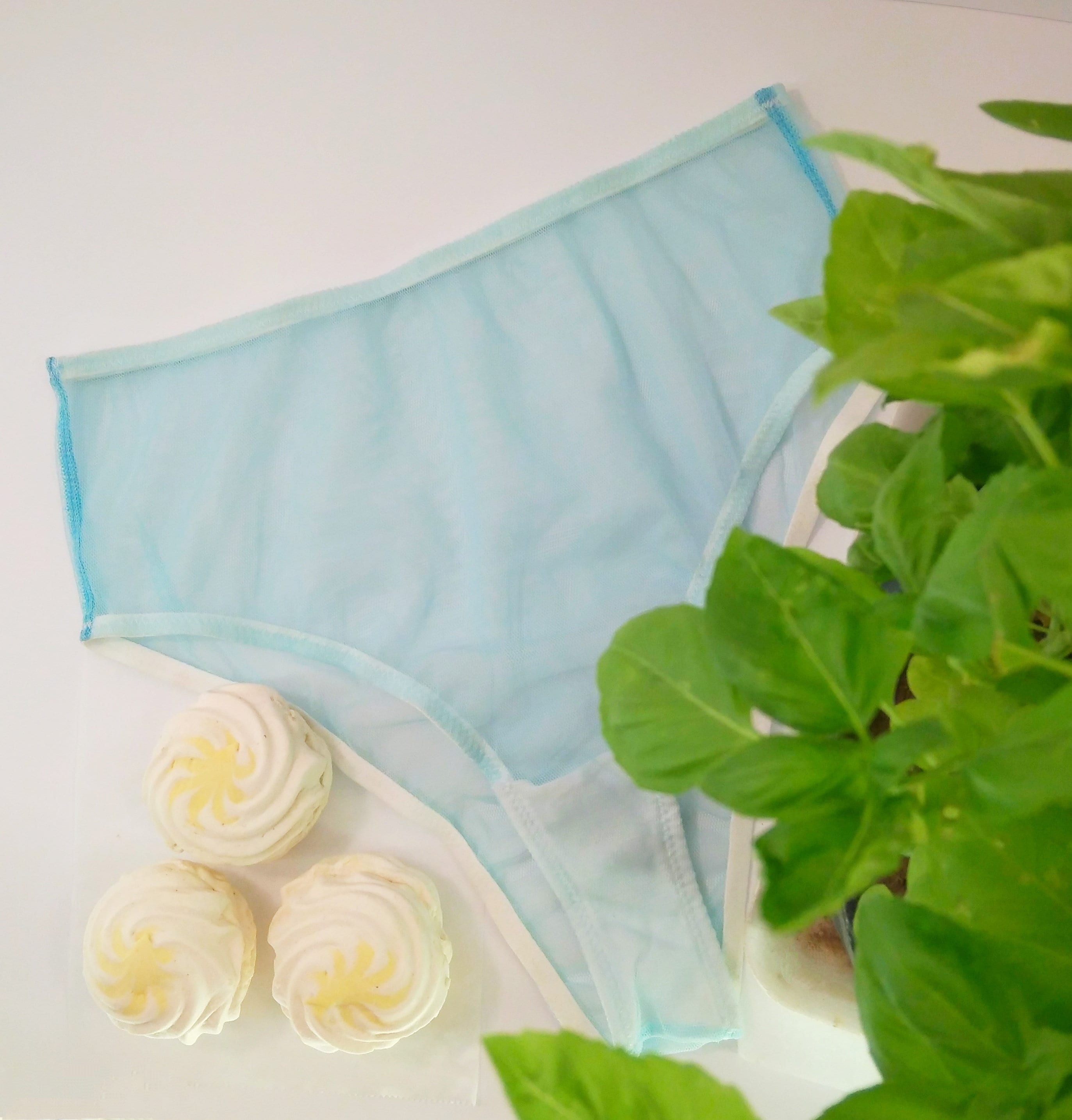 Skay Blue Sheer Mesh Tulle Panties, Sexy Lingerie, See Through, Classic ...